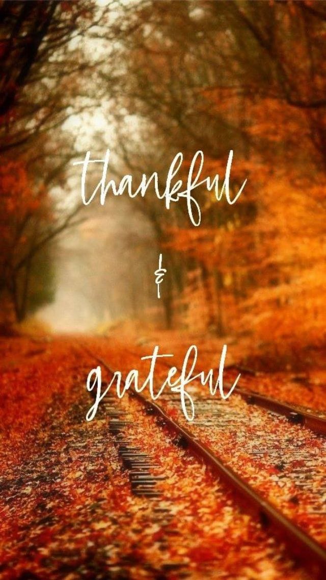 50+ Adorable Thanksgiving Wallpaper Options for a Cozy Season ...