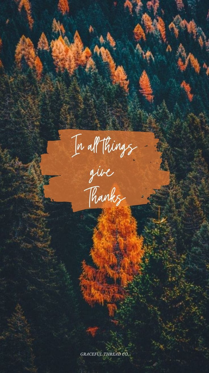 50+ Adorable Thanksgiving Wallpaper Options for a Cozy Season ...